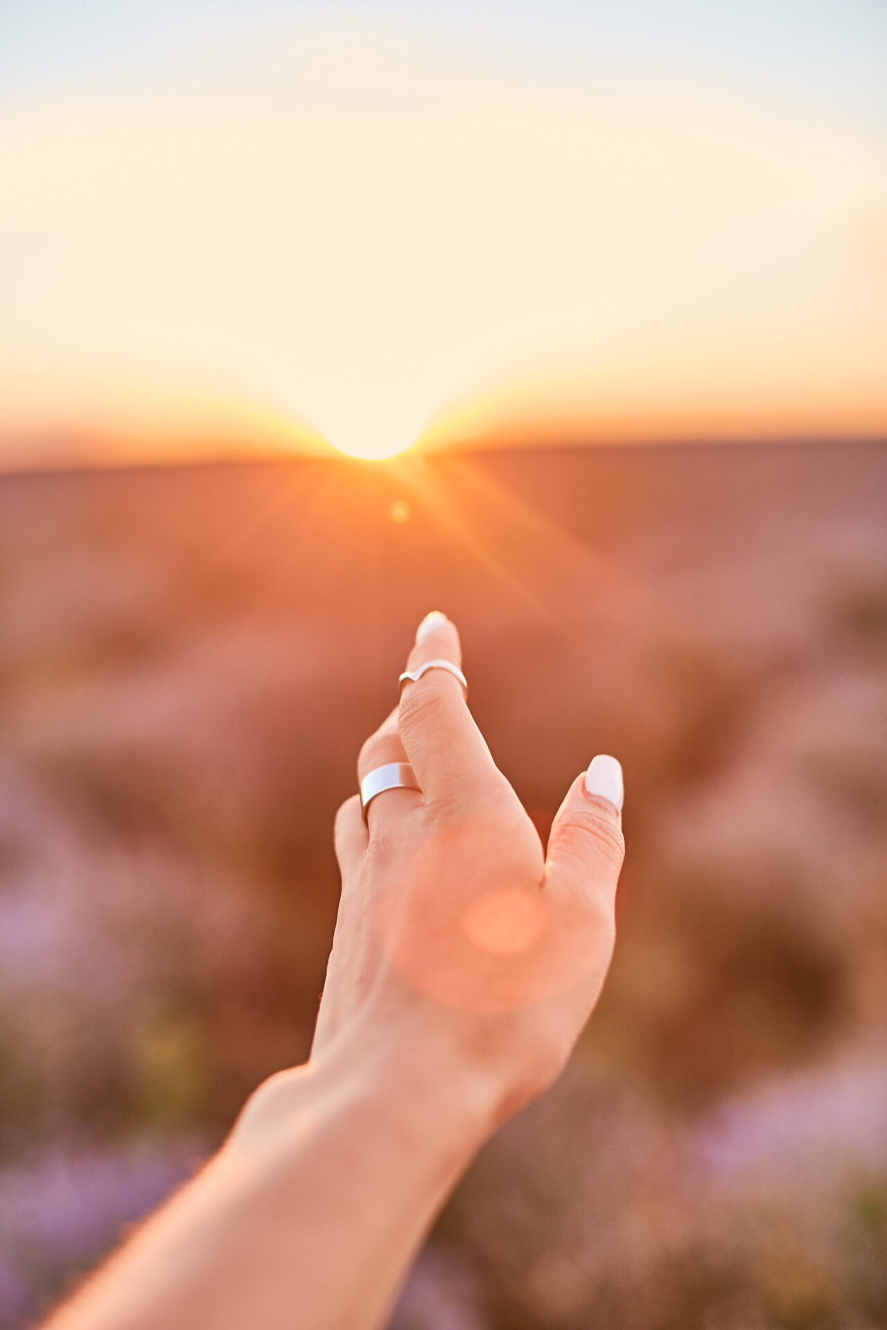 Services - Therapy Transformed Services - Therapy Transformed